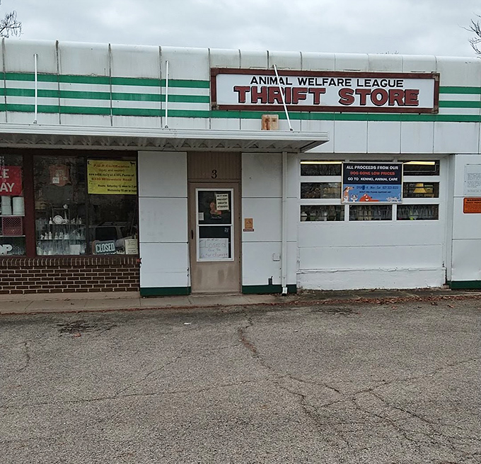 That green and white combo screams "community spirit" - shopping with purpose feels twice as rewarding somehow.