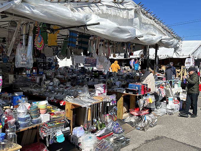 Household treasures spread under blue skies where practical meets perfectly unexpected shopping magic.