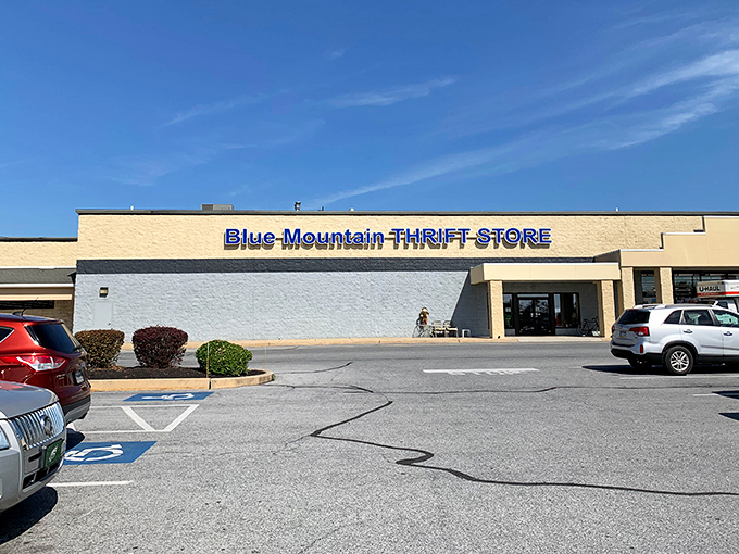 Sometimes the best treasures hide behind the most straightforward, no-nonsense store names.