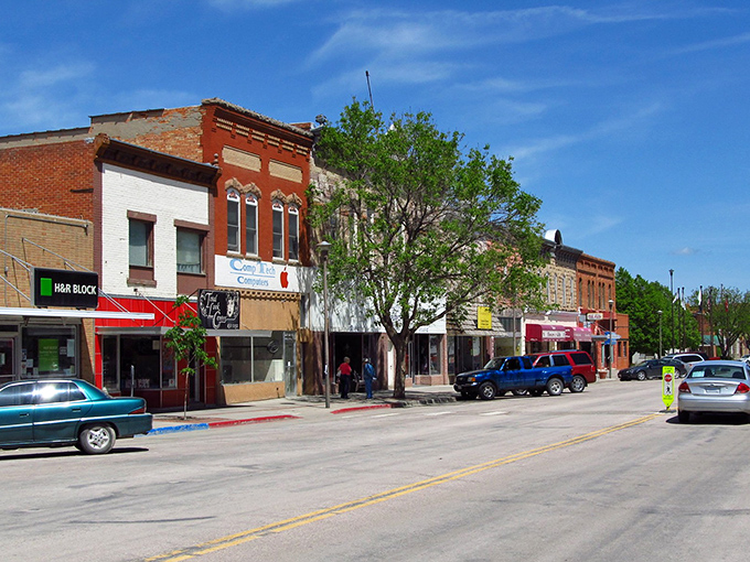 These tree-lined streets lead to businesses that understand fair pricing builds lasting community relationships beautifully.
