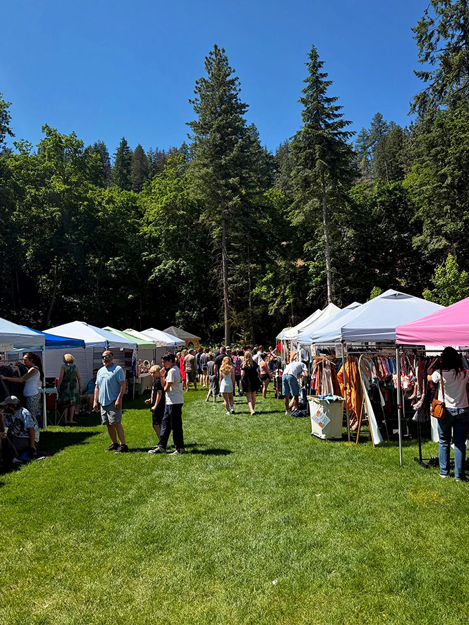 Mountain town charm meets serious treasure hunting in this scenic North Idaho shopping paradise adventure.