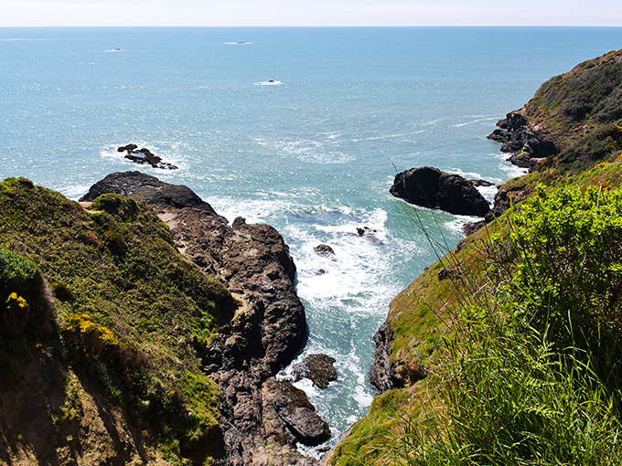 College Cove's dramatic cliffs frame a perfect slice of Northern California coastline where forest meets sea.