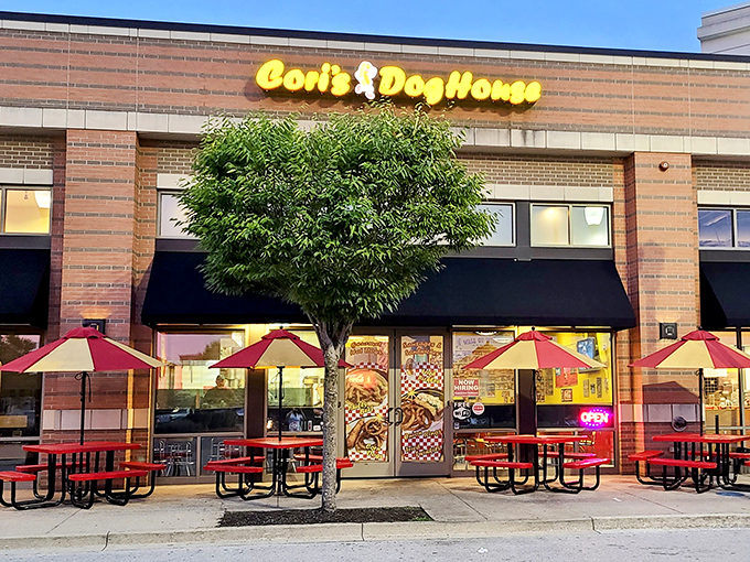 Those bright red umbrellas outside are like little flags of deliciousness, welcoming hot dog enthusiasts from near and far.