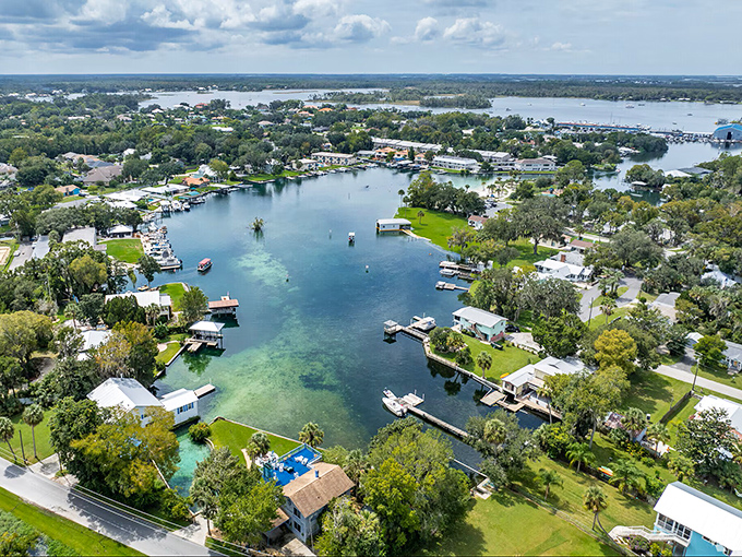 Crystal River winds through town like liquid glass, living up to its name in the most spectacular way.
