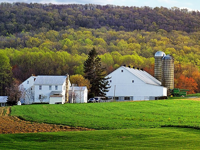 East Earl's rolling hills cradle white farmhouses and silver silos&mdash;where the ingredients for tonight's feast are just steps from the kitchen.