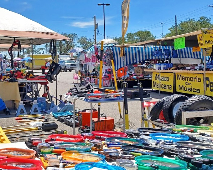 Expo New Mexico's sprawling market transforms asphalt into opportunity, where everyday items wait patiently for their "aha!" moment with the right shopper.