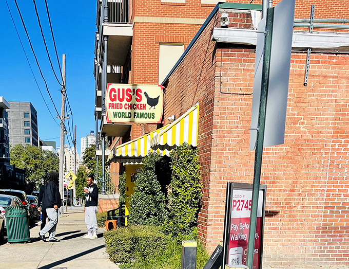 Gus's yellow-striped awning stands out like their chicken does &ndash; bold, distinctive, and impossible to ignore.