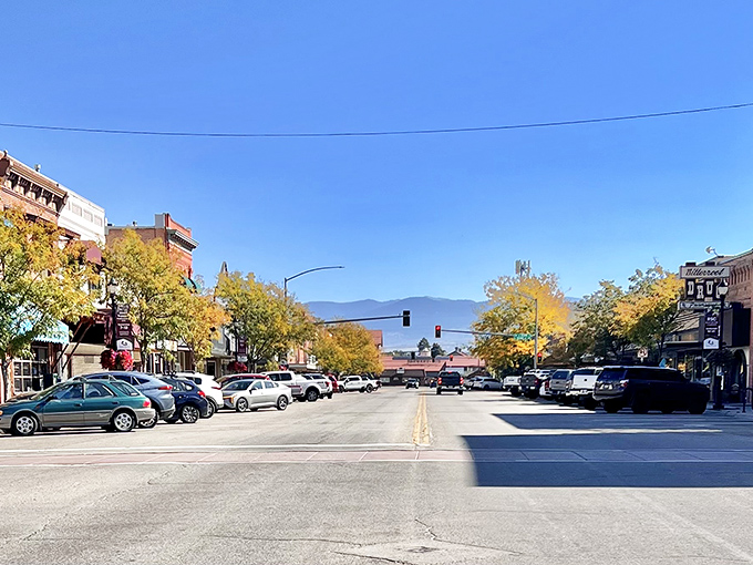Hamilton's wide streets give everyone plenty of room to slow down and remember what relaxation actually feels like.