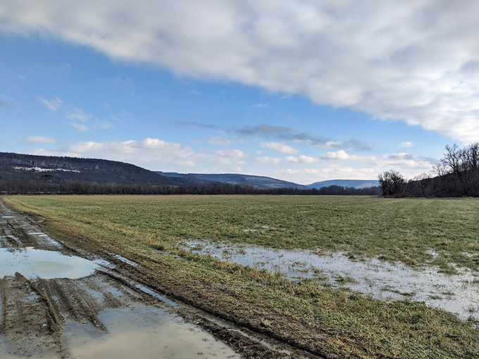 Rolling hills surround this pastoral landscape like nature's own embrace, offering endless views of unspoiled countryside beauty.
