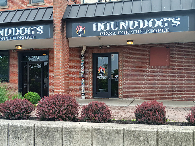 Hounddog's bold claim of "Pizza for the People" isn't just clever marketing - it's a delicious democracy we can all vote for.