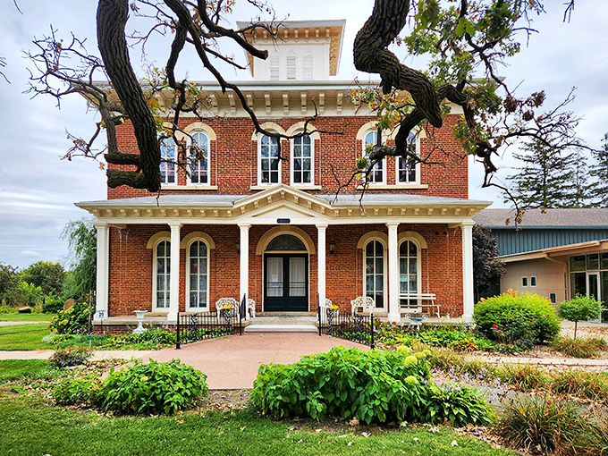 Independence's main street offers that classic Iowa downtown experience where shopping means knowing the store owners personally.