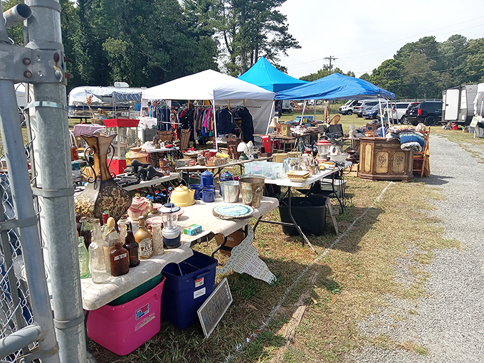 Lakewood 400's outdoor treasures prove that one person's storage cleanout becomes another's perfect weekend discovery.