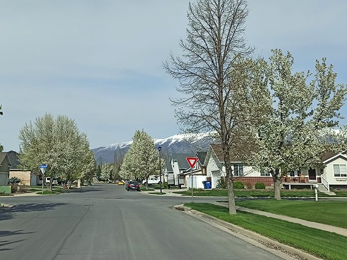 Layton spreads out like a well-planned picnic, where everything you need sits within easy reach and budget.