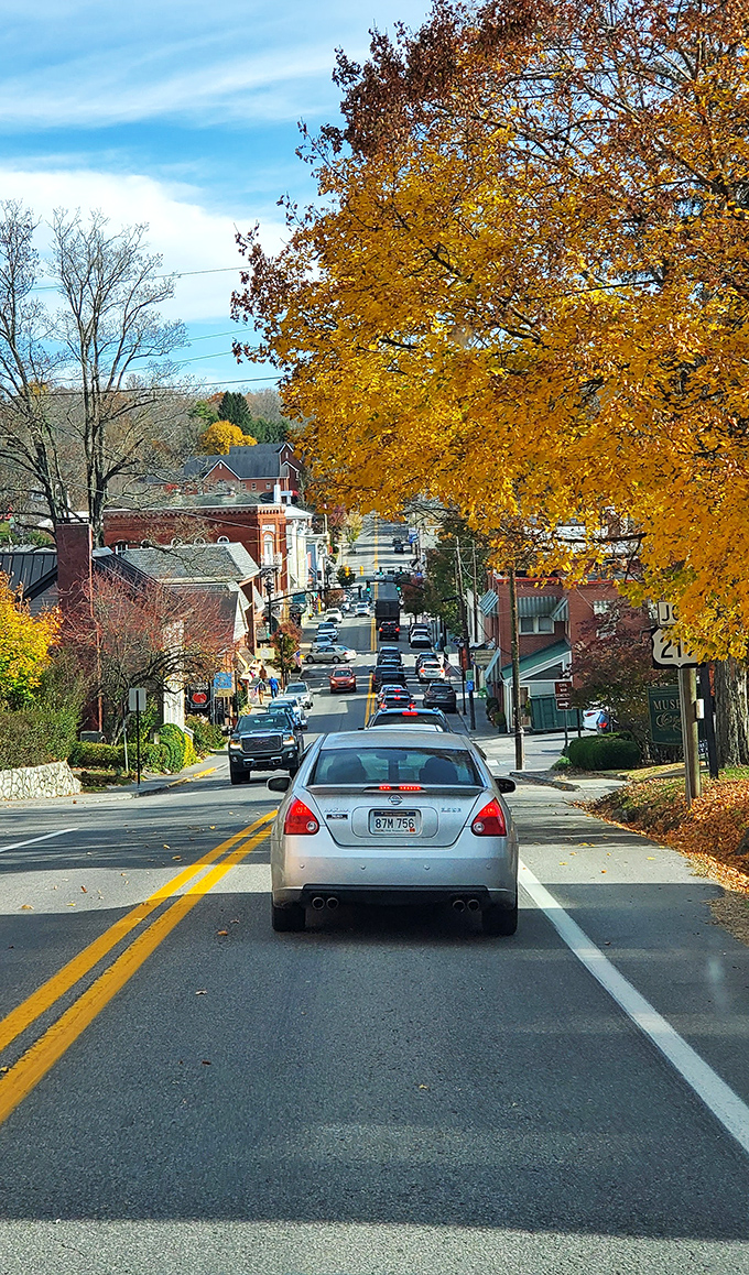Lewisburg's tree-lined streets create the perfect setting for leisurely strolls and serious people-watching sessions together.