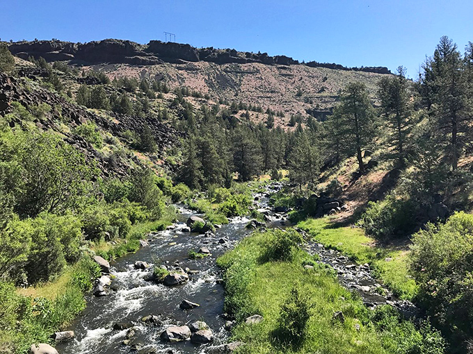 Crooked River cuts through rugged canyon walls near Prineville, where nature puts on a show that beats any cable subscription.
