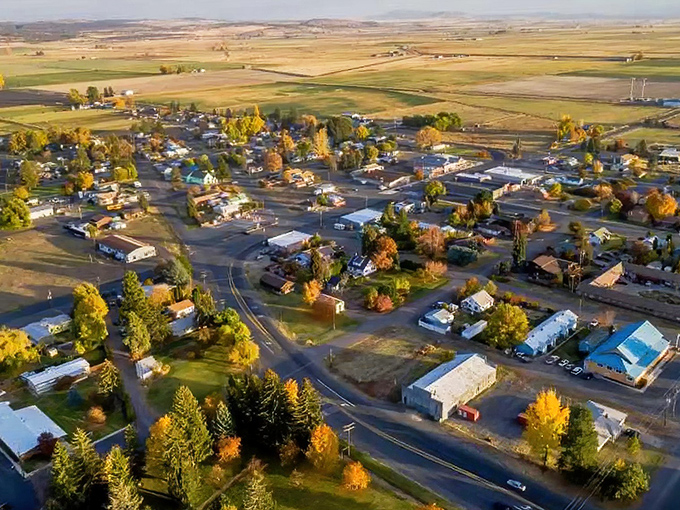 Malin's aerial view reveals the geometric beauty of agricultural life spread across Oregon's fertile valleys.