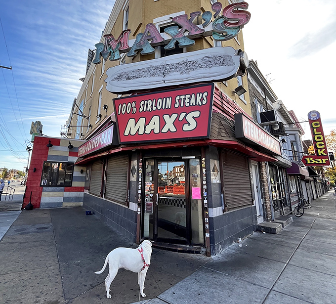 The neon glow has guided hungry North Philly residents for decades. Like a lighthouse for those lost in a sea of mediocre sandwiches.