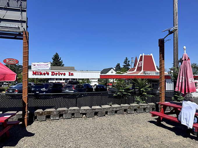 Mike's Drive-In looks like it was plucked straight from an American Graffiti scene. Classic cars and classic dogs!
