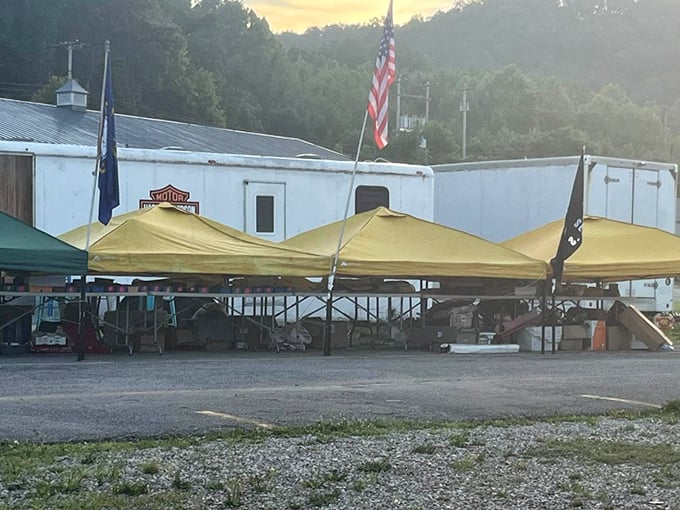 Yellow canopies stand ready at Milton Flea Market, like treasure chests waiting to be opened at dawn.