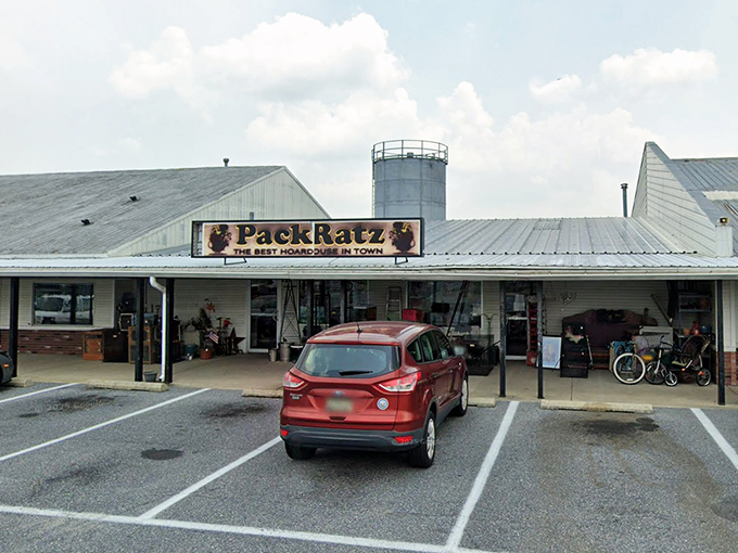 PackRatz might look unassuming from the outside, but inside it's a carefully curated chaos of potential treasures.