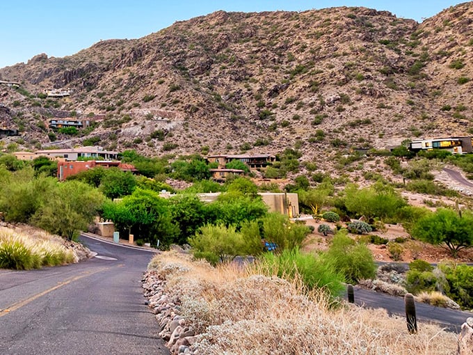 Paradise Valley lives up to its name with elegant homes nestled against mountain backdrops and meticulously designed desert landscaping.