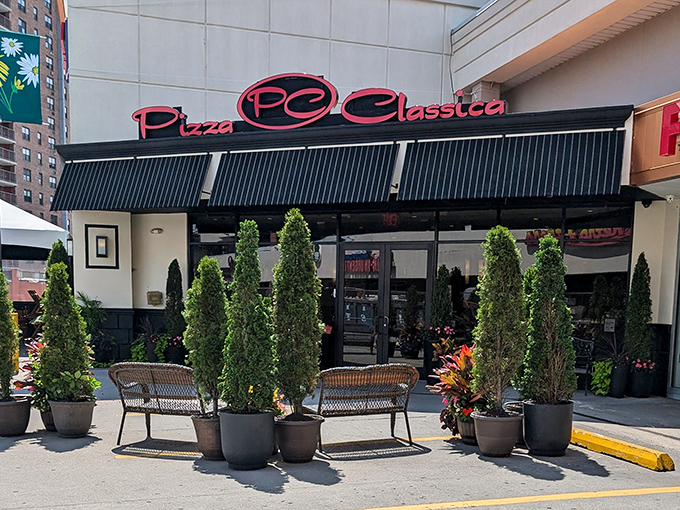 Pizza Classica's outdoor seating area, flanked by tidy evergreens, creates an urban oasis. The perfect spot to contemplate the meaning of a perfect crust.