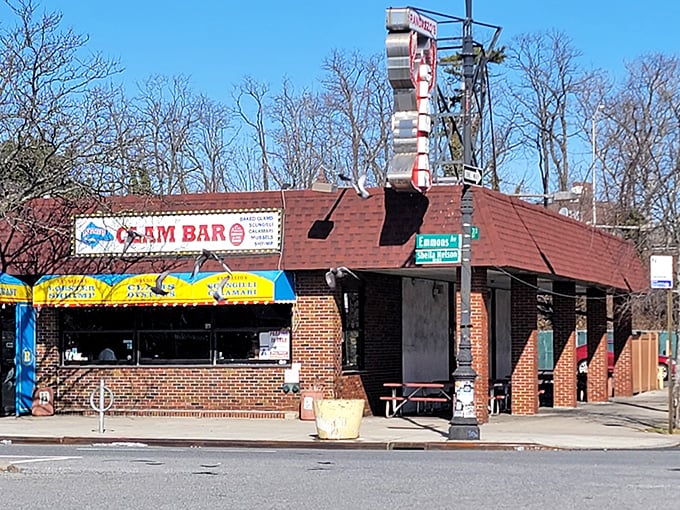 Bright yellow signs announce serious clam territory - Brooklyn's answer to New England's seafood swagger, absolutely.