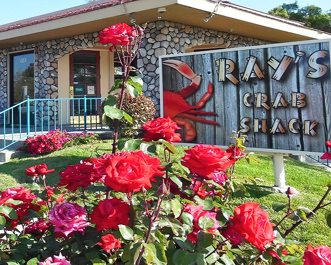 Those blooming roses aren't the only beautiful thing here - wait until you see what's happening in the kitchen.