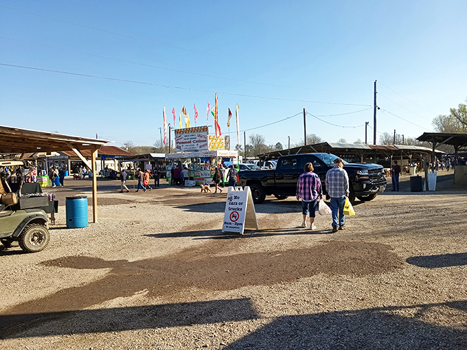 Ripley's First Monday Trade Day spreads across open grounds where serious bargain hunters gather monthly.