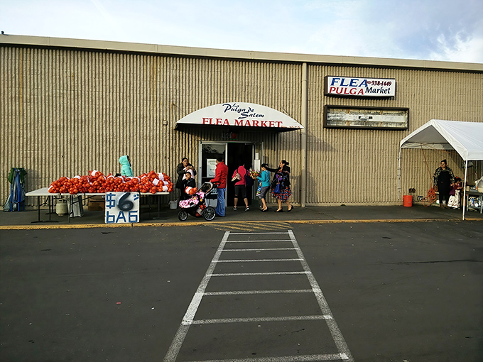 Fresh tomatoes greet shoppers at La Pulgita de Salem, where produce is just the beginning of this cultural experience.