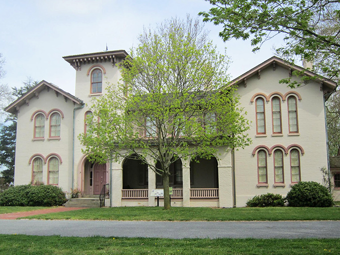 Seaford's downtown features a mix of historic and modern buildings, offering affordable shopping and dining options for retirees.