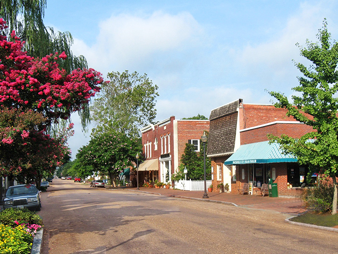 Riverside charm flows through historic streets where ham heritage meets modern small-town pride perfectly.