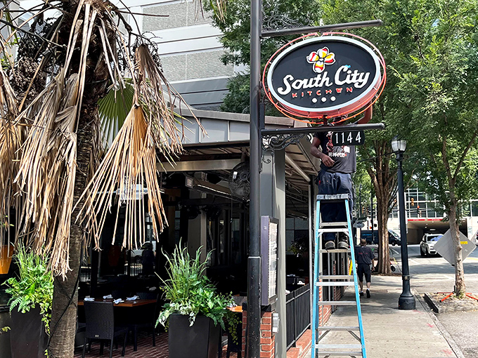 South City Kitchen's urban setting elevates fried chicken to sophisticated heights. Where Southern comfort meets city style without losing its soul.