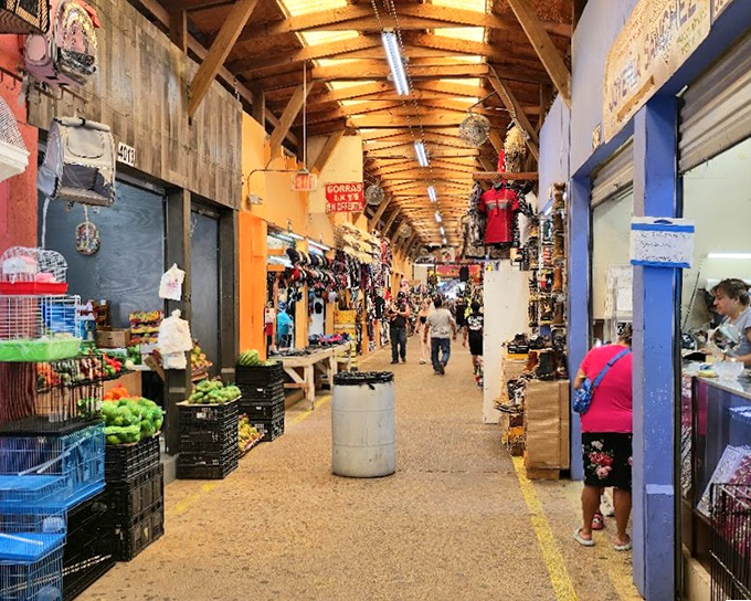 Concrete floors echo with excitement as families explore this Houston treasure hunting destination.