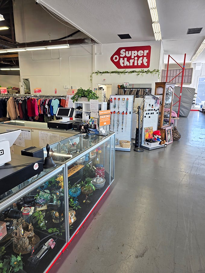 Step inside Albany's SuperThrift and discover a wonderland of secondhand treasures. That checkout counter has seen some happy discoveries.