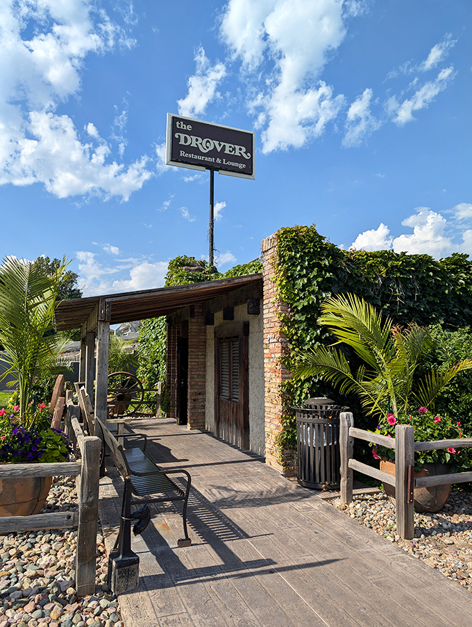 The Drover's vine-covered entrance feels like discovering a secret garden—except this one grows the juiciest whiskey-marinated steaks in Omaha.