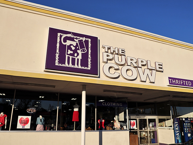 The Purple Cow's whimsical branding makes thrift shopping feel like an adventure - who says secondhand can't be fun?
