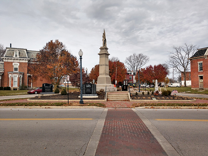 Tiffin's tree-canopied streets create natural tunnels of green where college town energy meets Midwest tranquility.