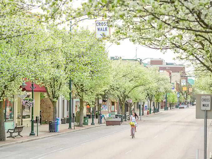 Downtown Traverse City&mdash;where the streets are clean, the shops are local, and your retirement fund breathes a sigh of relief.