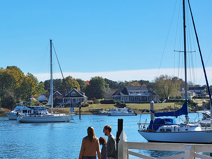 The harbor and marina create a picture-perfect scene where working boats and pleasure craft share the same peaceful waters.