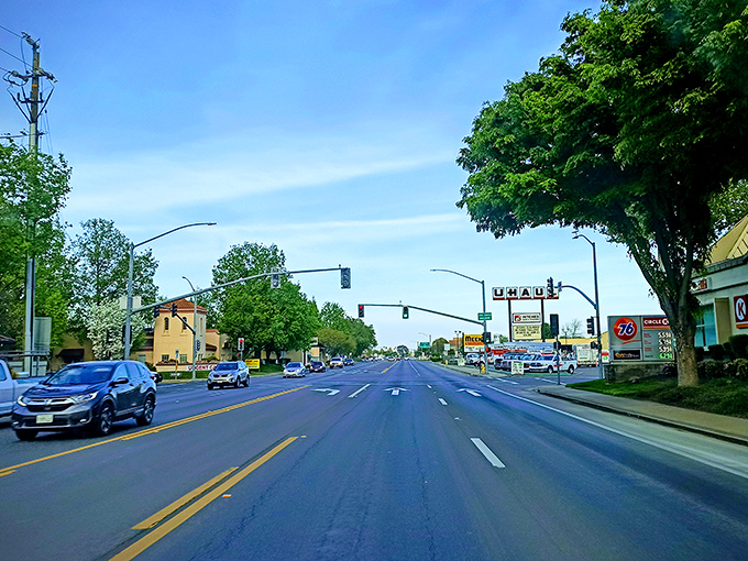 Wide, tree-lined streets in affordable Yuba City offer easy driving and less traffic than coastal cities.