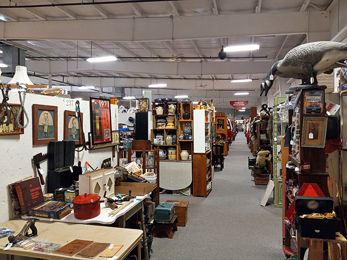 Row upon row of vendor booths stretch endlessly, each one hiding potential treasures and stories.