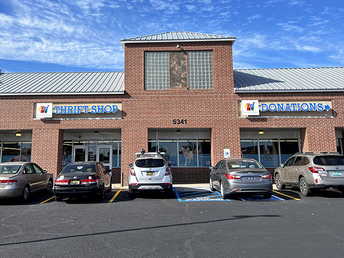 Clean lines and bright signage make this animal-supporting thrift store stand out. Shopping therapy that helps four-legged friends!