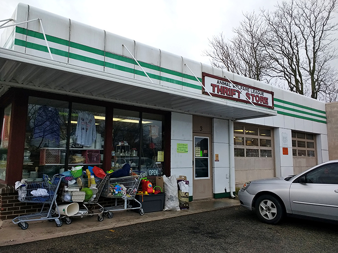 Even the exterior whispers "treasures inside" - sometimes the best finds hide in the most unassuming places.