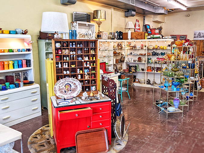 Organized displays showcase everything from fine china to forgotten kitchen gadgets with equal reverence.