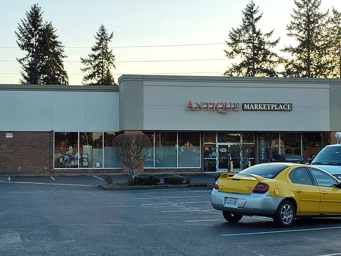 The evening light casts a golden glow on this unassuming treasure trove. Even the building knows it's magic hour!