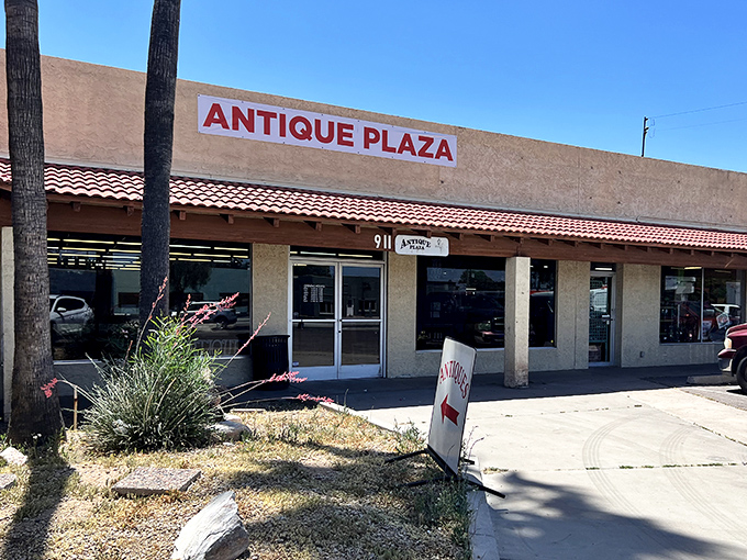 Sometimes the most unassuming buildings hold the greatest treasures - this place proves that theory absolutely and completely right.