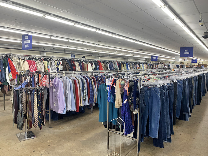 Organized racks and clear sections make treasure hunting feel more like strategic shopping than random digging.