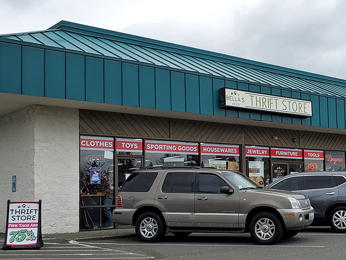 That teal roof covers more than merchandise - it shelters hope for animals everywhere.