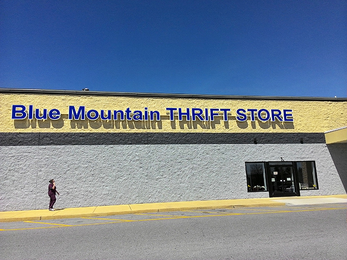 That massive blue lettering ensures you'll never drive past this bargain paradise by accident.
